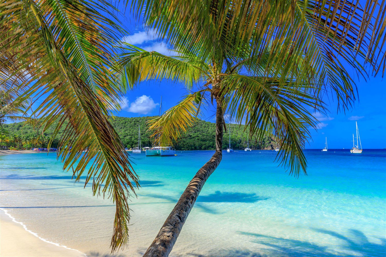 Caribbean Multi Centre Holidays 2024/2025 | Trailfinders