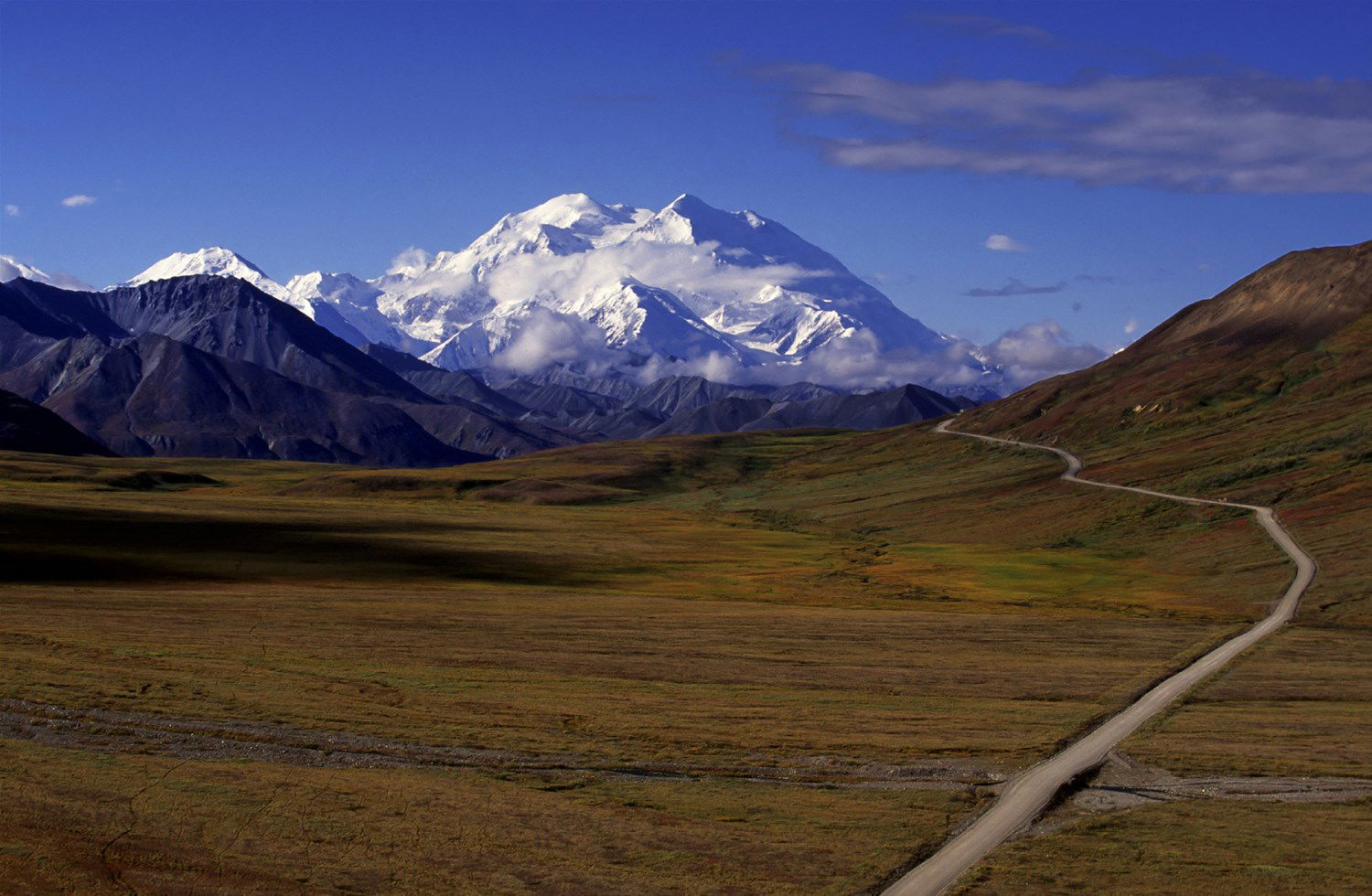 Denali Natural History Tour | Trailfinders