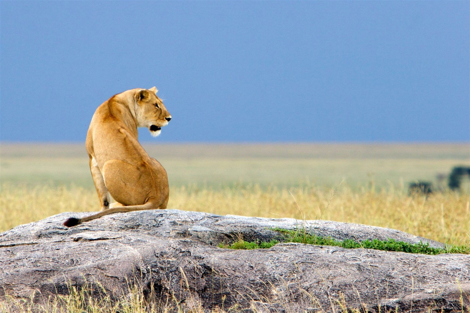 The Best Time to Visit Tanzania | Tales from the Trail | Trailfinders The Best Time to Visit Tanzania | Tales from the Trail | Trailfinders