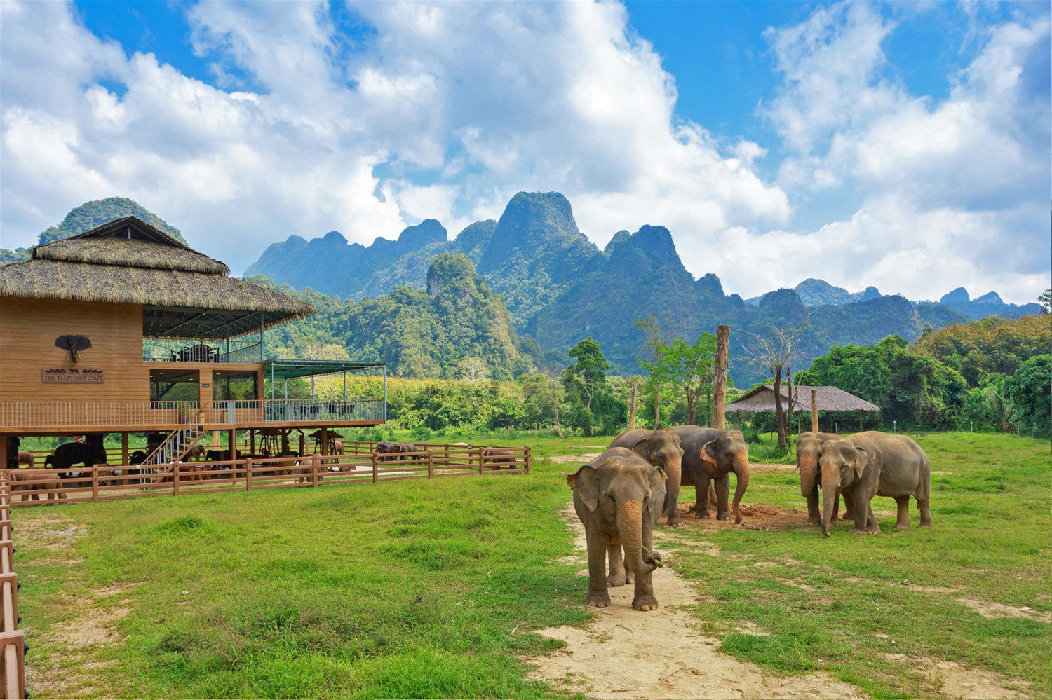 Elephant Hills Tented Camp, Khao Sok National Park | Trailfinders