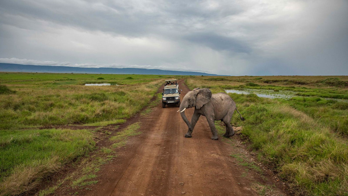 Kenya to Zimbabwe Overland Safari | Trailfinders