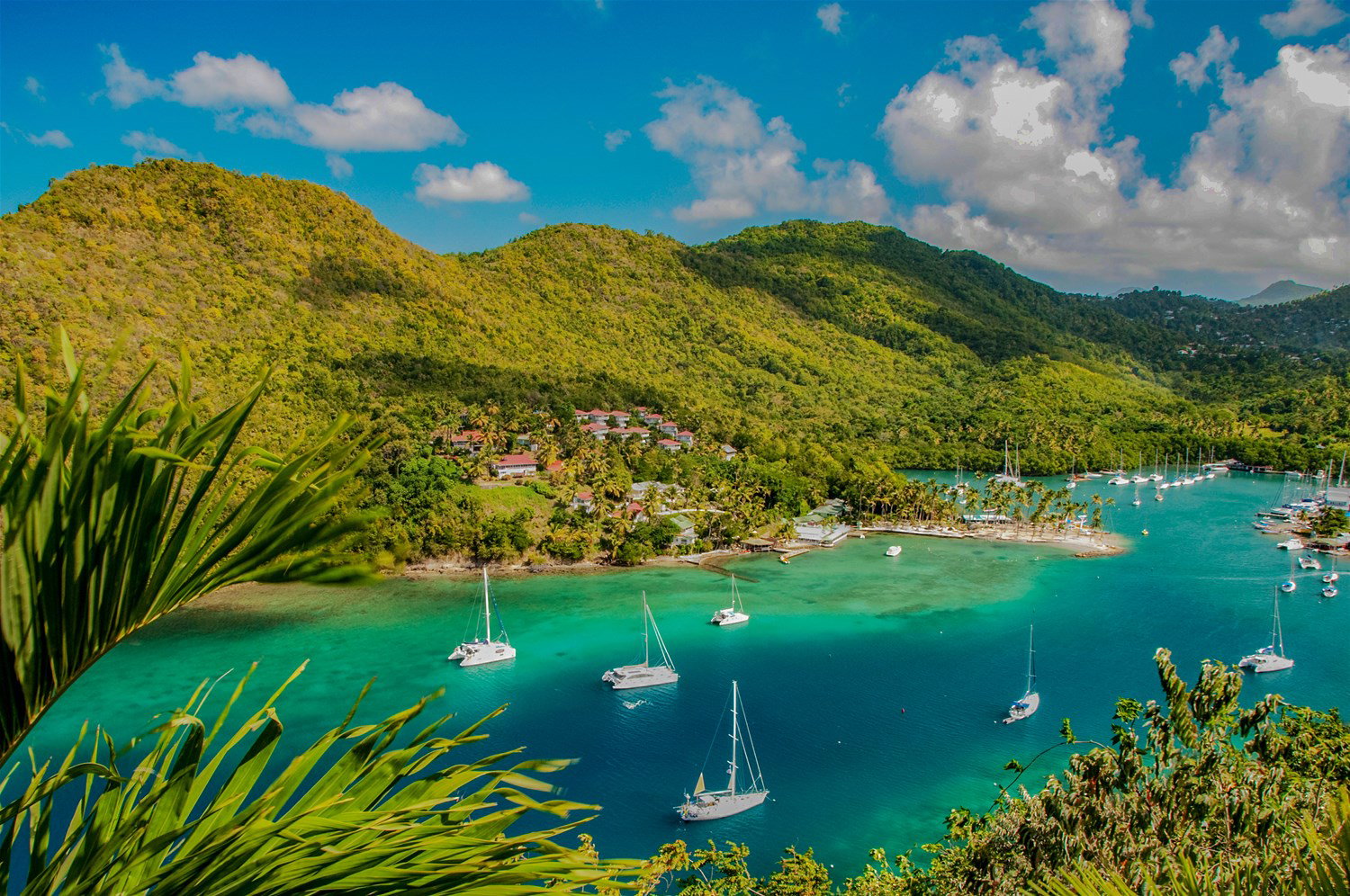 St Lucia Holidays 2025/2026 | Trailfinders Ireland