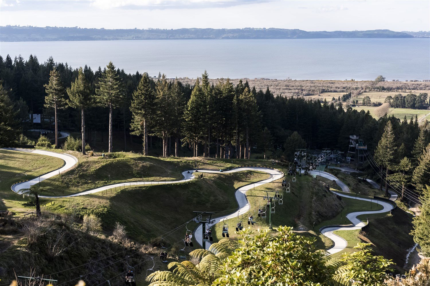 Skyline Rotorua Gondola, Luge & Lunch | Trailfinders Ireland