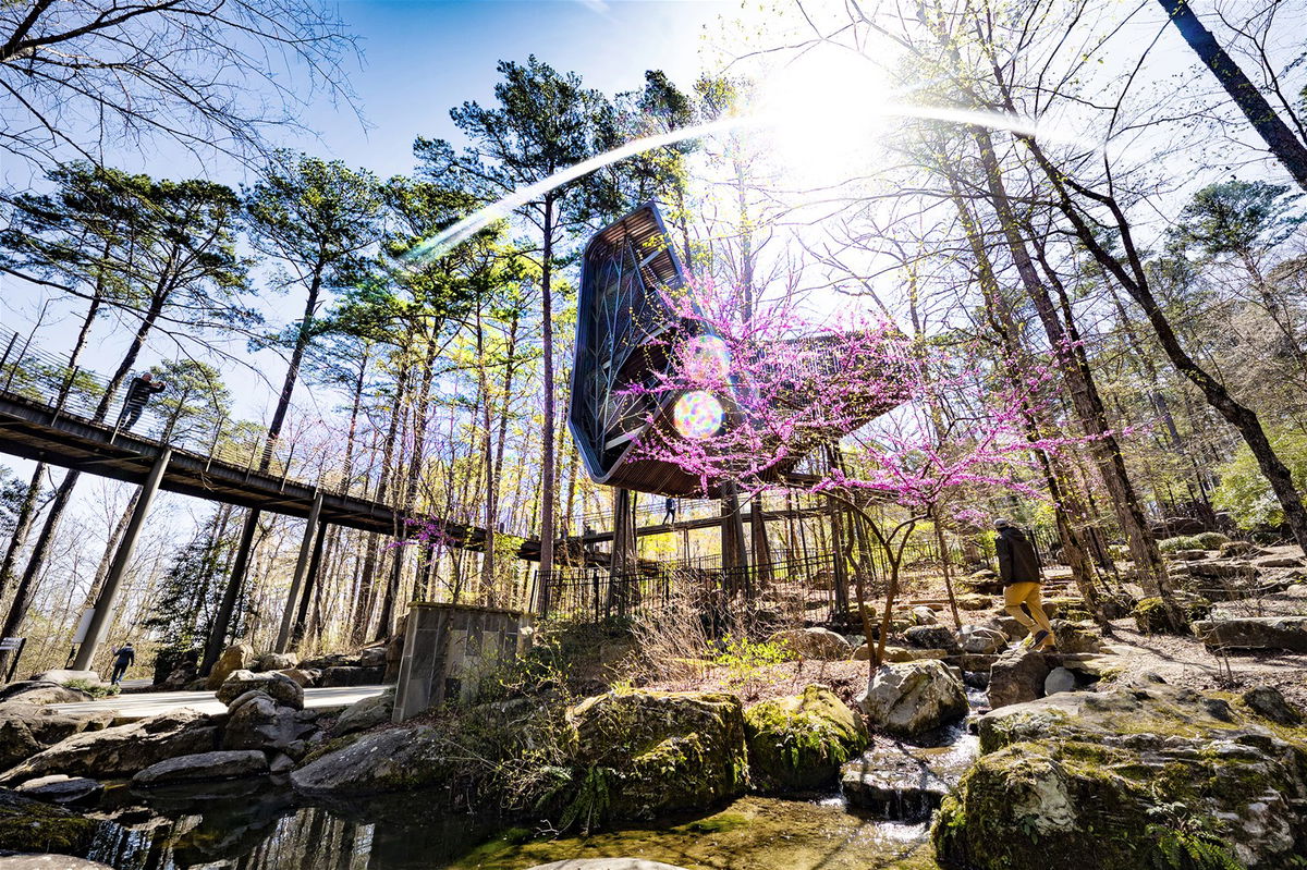 Cowboys, Hot Springs & Honky Tonks | Trailfinders