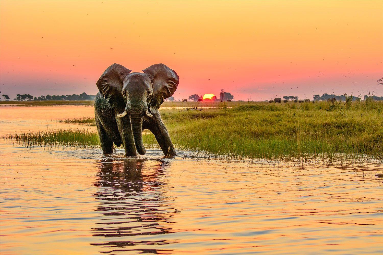Linyanti Wilderness, Okavango Delta & Victoria Falls | Trailfinders