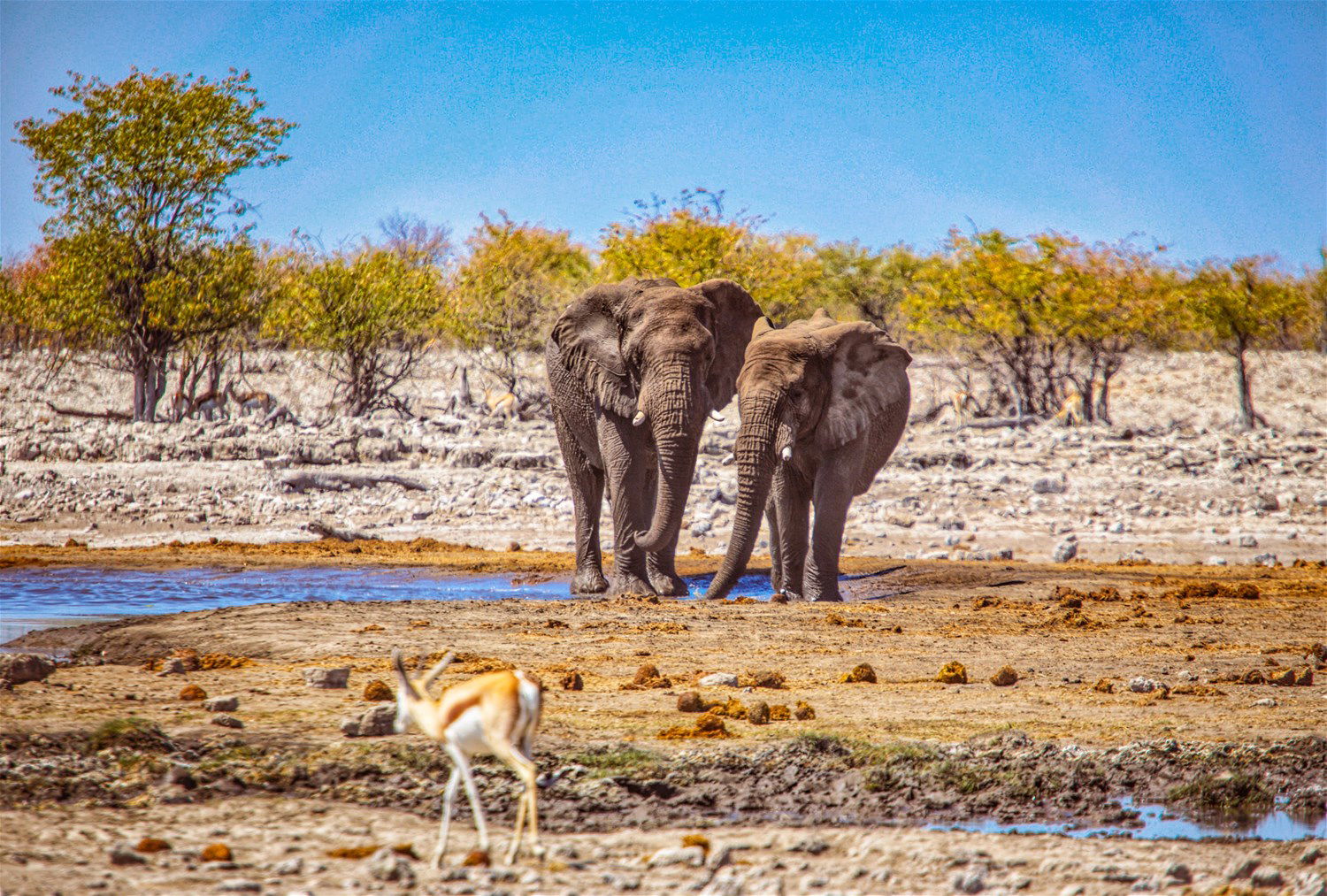Gems of Namibia | Trailfinders