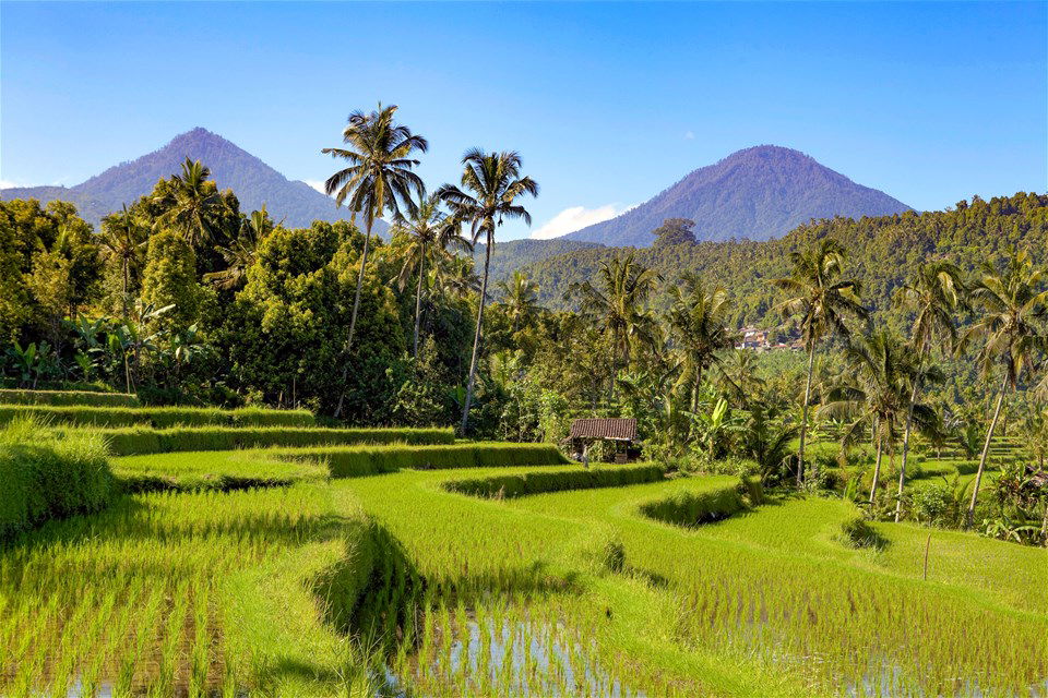 Bali Holidays 2024/2025 | Trailfinders Ireland