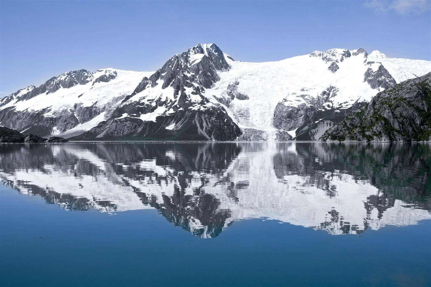 Resurrection Bay Wildlife Cruise | Trailfinders