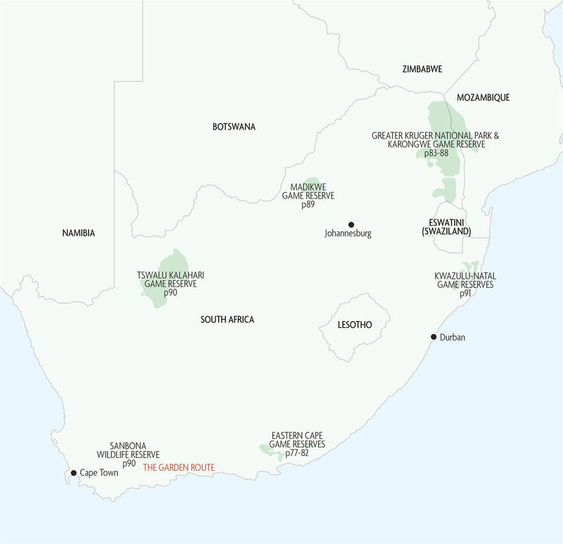 South Africa Safaris 2025/2026 | Trailfinders
