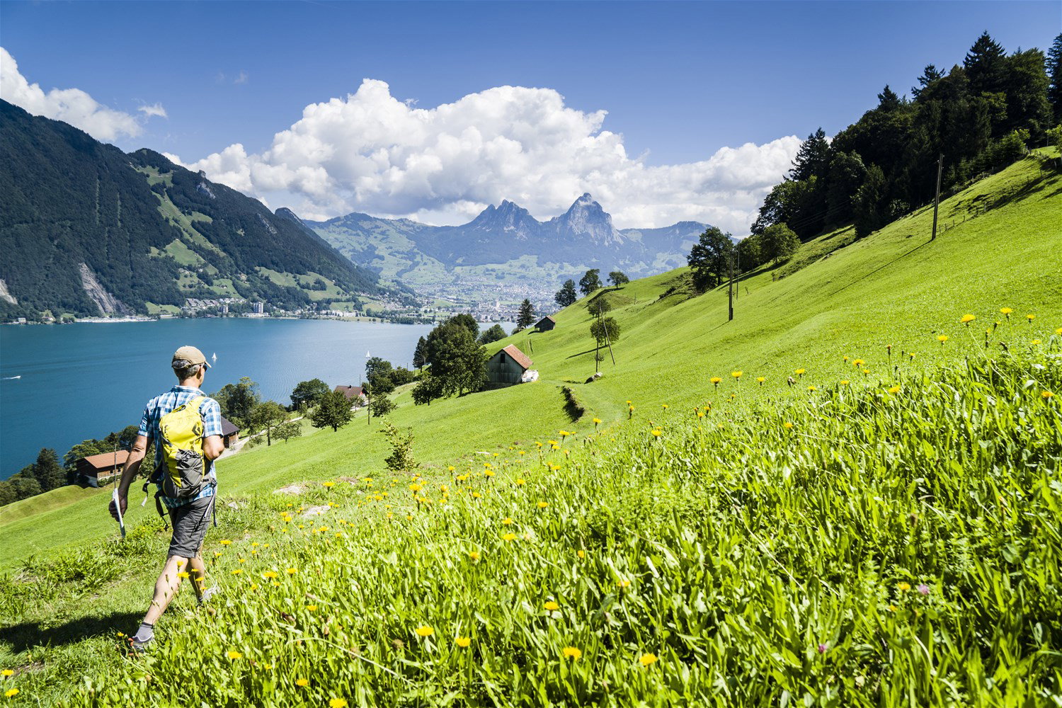 Swiss Alps Stroll & Lake Lucerne | Trailfinders