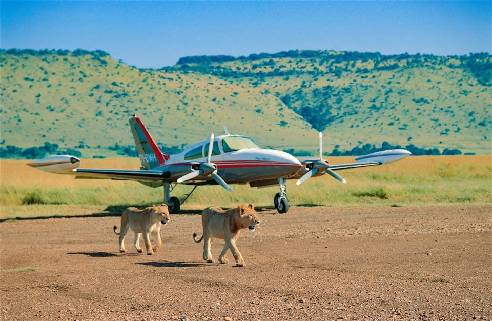 Tanzania Safari Holidays 2026/2027 | Trailfinders